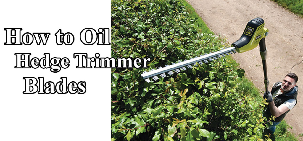 How to Oil Hedge Trimmer Blades: Follow This Process - Powertoollab